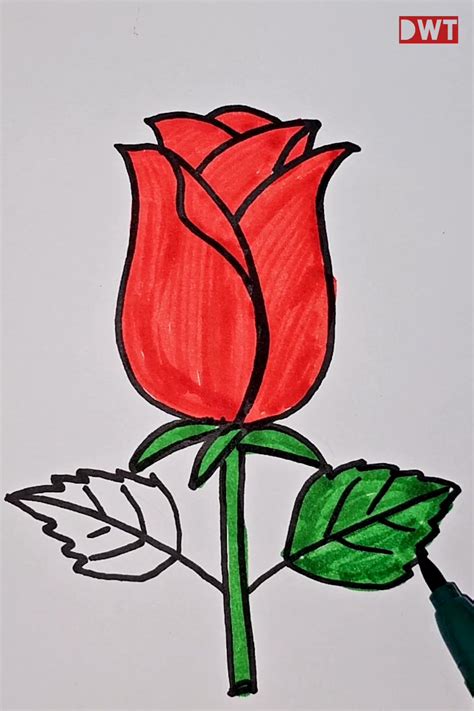 How To Draw A Rose Realistic For Beginners