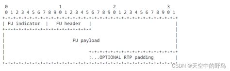webrtc源码阅读之h264 rtp打包 webrtc stapa csdn博客