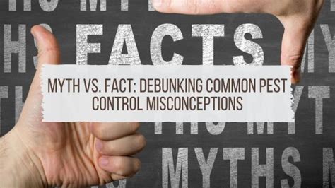 Myth Vs Fact Debunking Common Pest Control Misconceptions Home Of