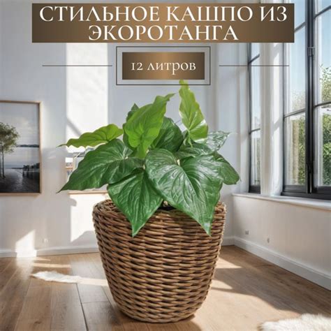 Кашпо из ротанга, горшок для цветов, 12 литров - купить с доставкой по ...