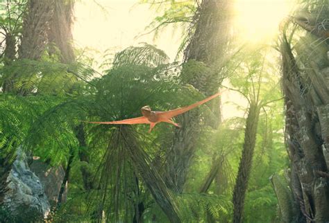 Planet Earth Seasonal Forests Yandex