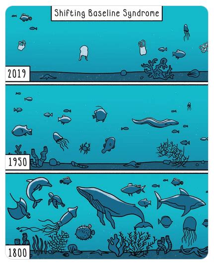 File Shifting Baseline Syndrome Threats To Ecosystems Biodiversity