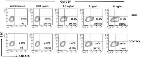 representative flow cytometric contour plots of p stat5 response in