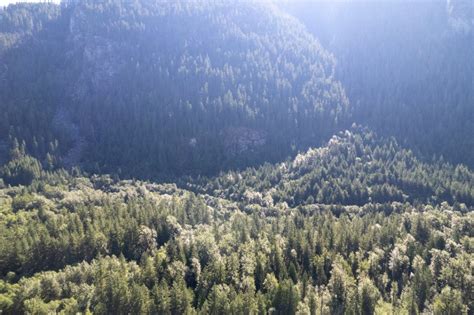 Missing Hiker Sam Benastick Survived 50 Days In British Columbia Canada Wilderness