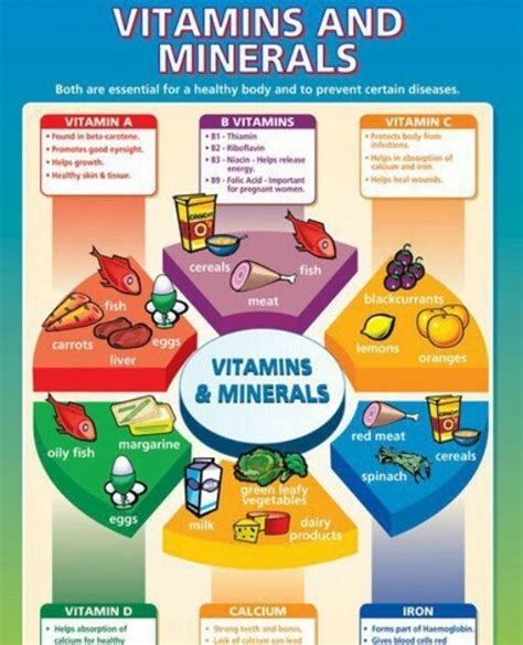 Nutrition In Simple Terms Macro Nutrients And Micro Nutrients Functions