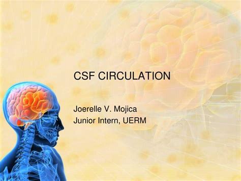 Ppt Csf Circulation Powerpoint Presentation Free Download Id2427537
