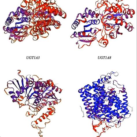 3d Structures Of Proteins Predicted Using Swiss Model These Predicted