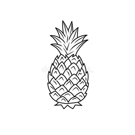 Pinaple Vector Stock Illustrations 13 Pinaple Vector Stock