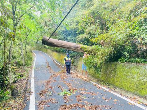 路樹倒塌壓電線影響交通 警民合作順利排除 蕃新聞