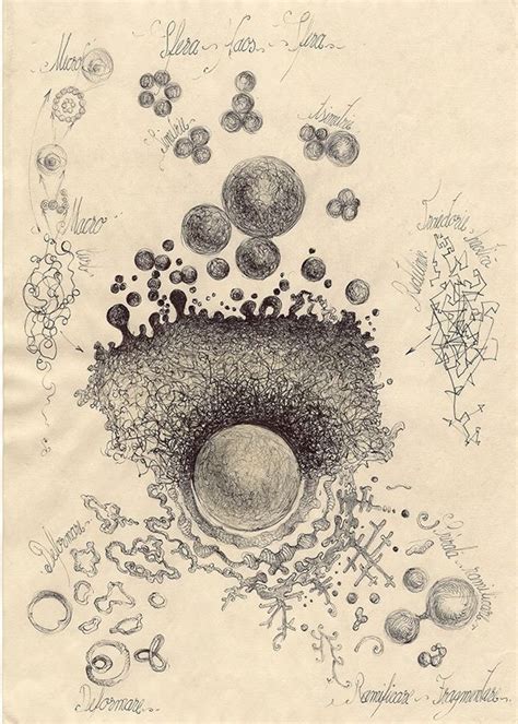 Universal Sphere Vortex Theory On Behance Bio Art Vortex Drawings