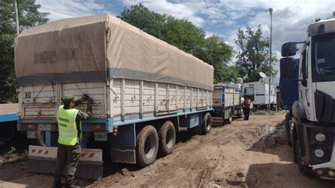 Incautan 56 500 Kilos De Harina Y Troncos De Madera Sin Aval Legal