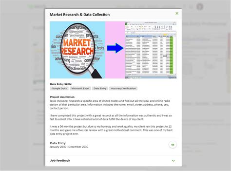 Data Entry Portfolio Samples For Upwork Freelancer Webson Job