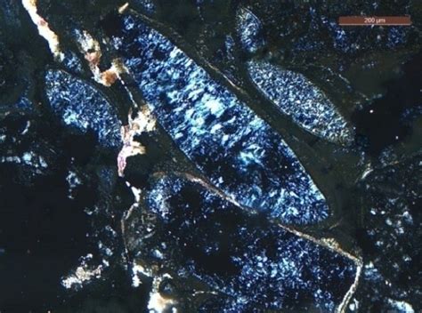 Glass Devitrification Definition At Chelsea Sommerlad Blog