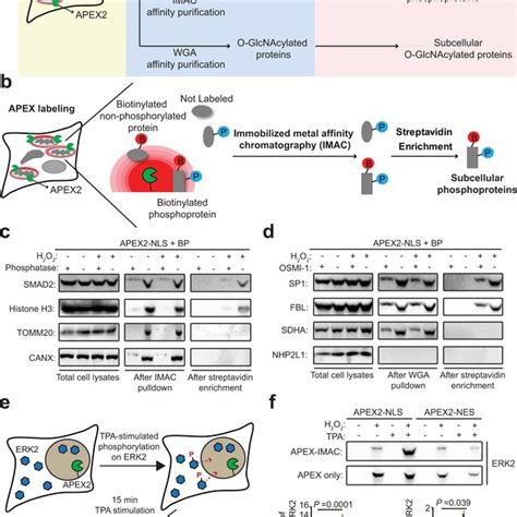 Alice Y Tings Research Works Massachusetts Institute Of Technology Ma Mit And Other Places