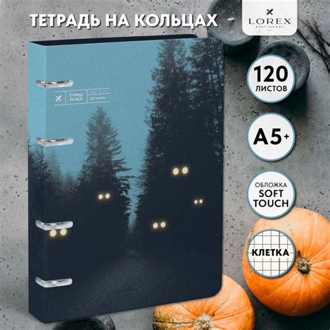 Тетрадь на кольцах А5 со сменным блоком 120 листов в клетку Lorex