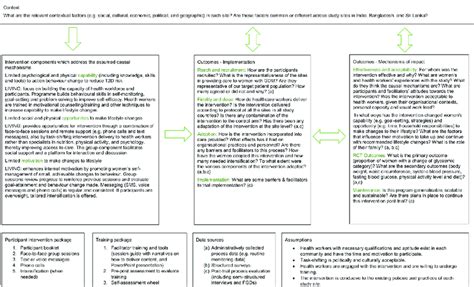 Process Evaluation Framework For The Living Intervention To Prevent Or