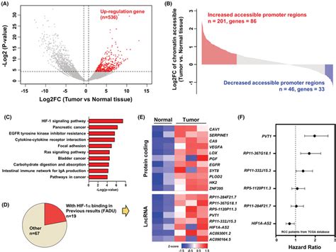 Rp11‐367g181 Is Upregulated In Rcc Tumor Tissues And Is Associated