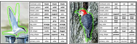 Visual Recognition Datasets For Deep Learning Blockgeni