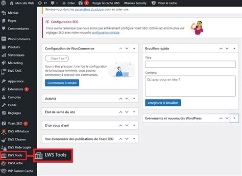 le plugin wordpress lws tools comment s en servir optimiser et