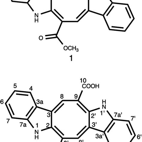 Chemical Structure Of The Isolated Bis Indole Alkaloids 12