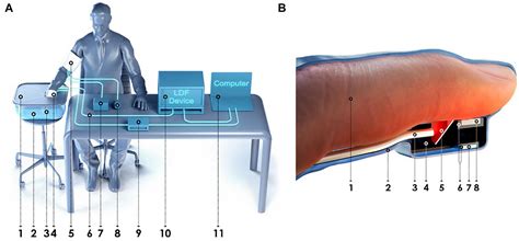 Diagnostic Tests From An Optical Microbiology And Gene Expression