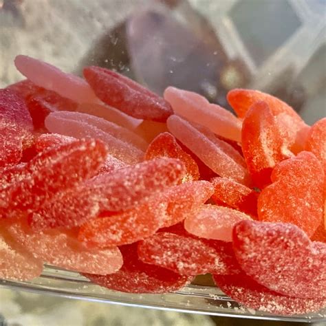 Assorted Fruit Slices Etsy