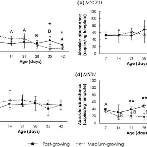 absolute transcript abundance of genes involved in muscle growth in