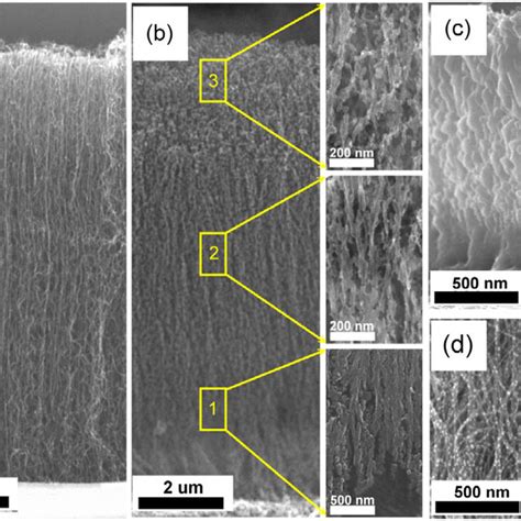 sem micrographs of lcvd grown vertically aligned cnts on the si