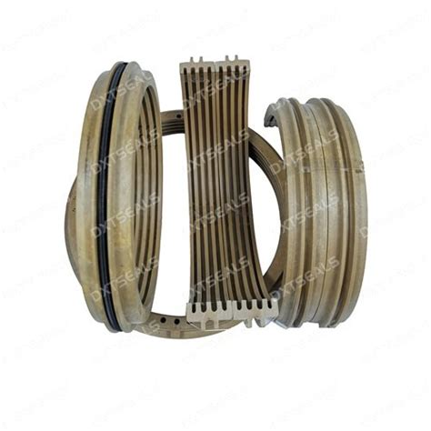 Polyimide Labyrinth Floating Oil Seal 油封 产品 Dxtseals