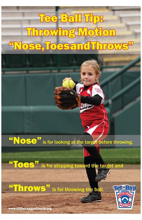 Tee Ball Regulations At Ruby Hereford Blog