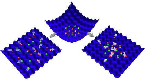 Dynamics Of A System Of Ultracold Potassium Atoms