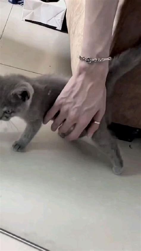 Miuwsss Adlı Kullanıcının Couples 💞 Panosundaki Pin Romantik çiftler