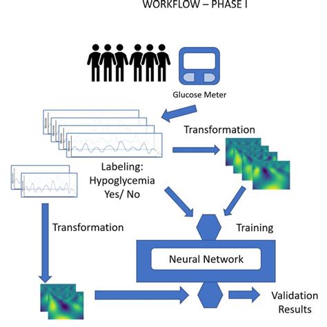 workflow phase i training validation download scientific diagram