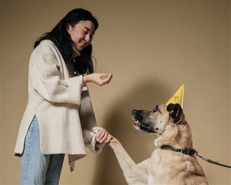 8 Benefits Of Positive Reinforcement Training For Dogs Team Jw