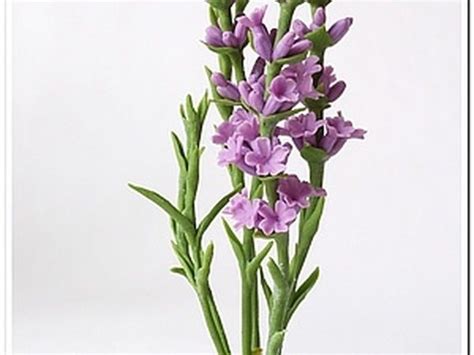 Лепим веточки лаванды из полимерной глины без использования молдов Мастер Классы в журнале