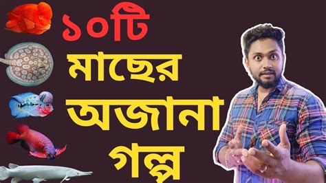 ১০ টি মাছের অজানা গল্প কিছু কথা আপনার মাছের জন্য খুবই গুরুত্বপূর্ণ