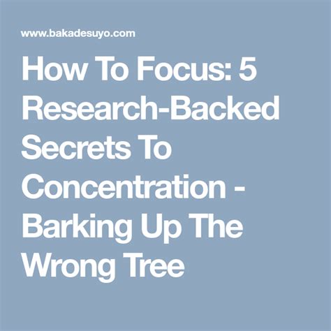 How To Focus 5 Research Backed Secrets To Concentration Barking Up