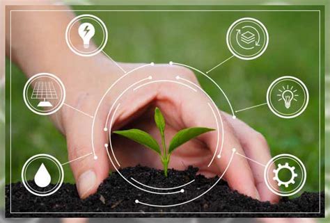 The Role Of Temperature Sensor In Farming Al Ardh Alkhadra