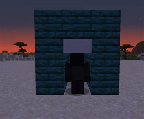 Glitchs And Height Problem · Issue 1280 · Protocolsupportprotocolsupport · Github