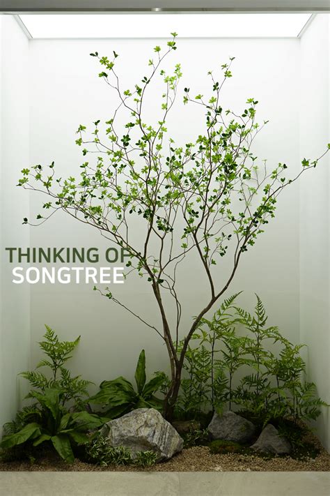 송트리 Songtree 인조나무 실내조경 조화판매 전문 그린인테리어 업체 그린인테리어 조화인테리어 플랜테리어 식물