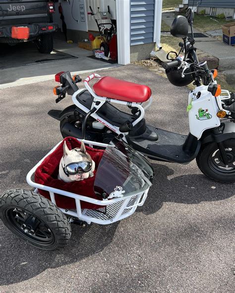 If Anybody Is In The Gta Area I Am Selling My Ruckus For 3500 Cad