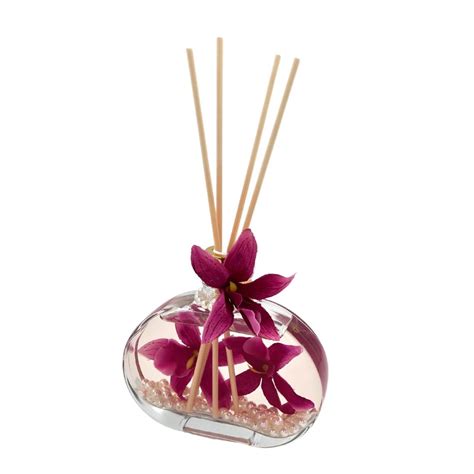 Difusor De Aromas 300ml Alecrim Blanck MadeiraMadeira