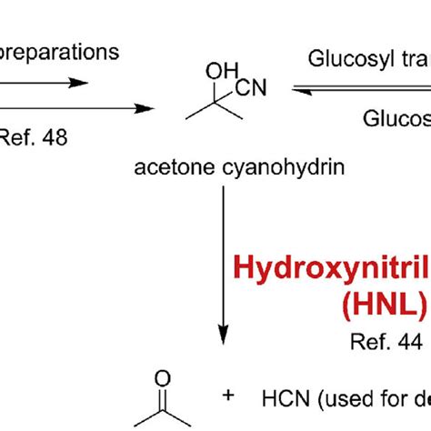 Pdf Structural Characterization Of Linum Usitatissimum Hydroxynitrile