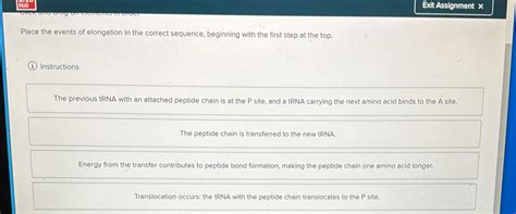 Solved Exit Assignment × Place The Events Of Elongation In The Correct