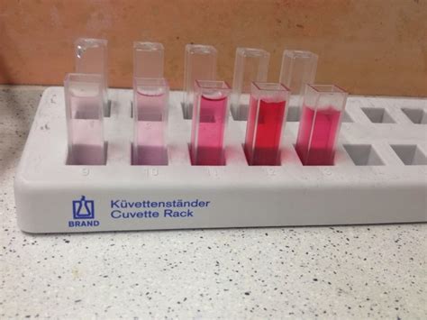 Biology Journal Practical 1 Beetroot Experiment