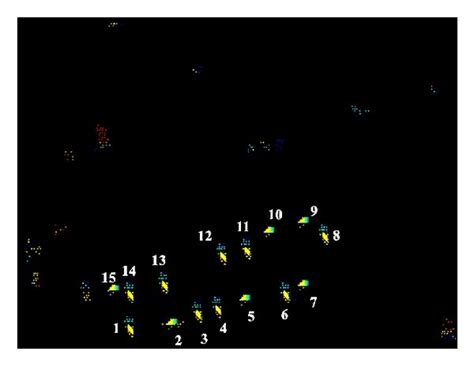 Points Segmentation Results In Concealed Cars Areas Download Scientific Diagram