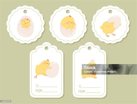 달걀에서 부화한 귀여운 병아리가 있는 부활절 선물 태그 세트 부활절 선물표와 노란 닭이 있는 가격표 라벨 포장 선물 맞춤형 카드 포장 장식용 템플릿 플랫 벡터 일러스트 레이