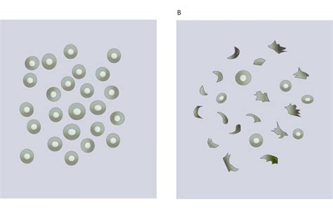 Lab Protocols My Hematology