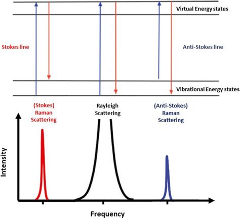 Energy Level Diagram Of Elastic Rayleigh Component And Anelastic Download Scientific Diagram
