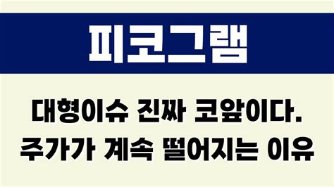 피코그램 주가전망 대형이슈 진짜 코앞이다 주가가 계속 떨어지는 이유 Youtube
